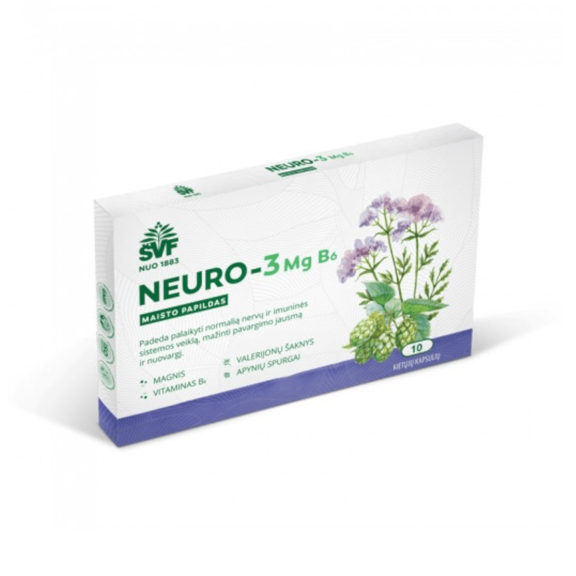 ŠVF NEURO-3 Mg B6 kapsulės N10 – VITAINN